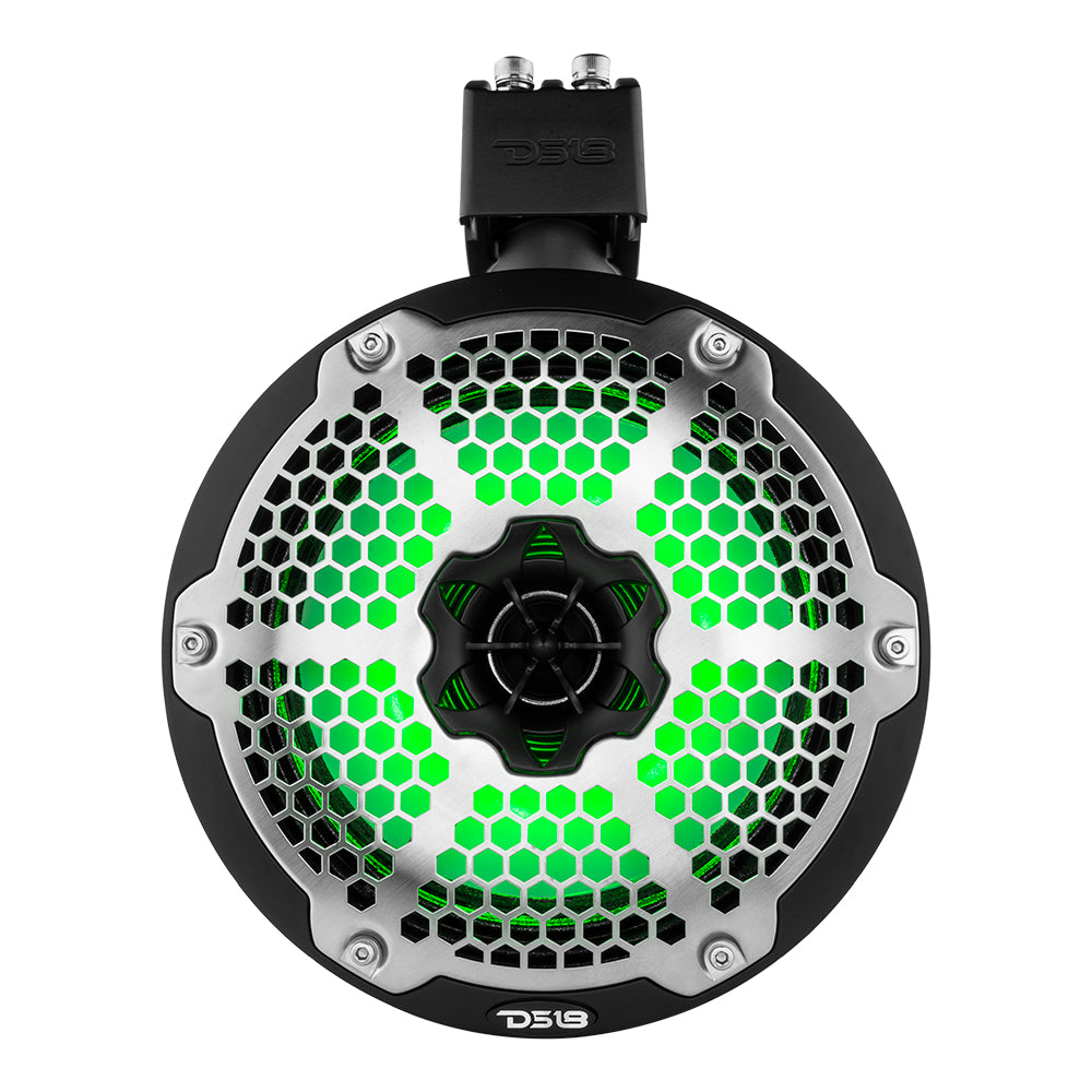 DS18 8" Neodymium Marine Towers with Built-In Passive Radiator, 1 ...