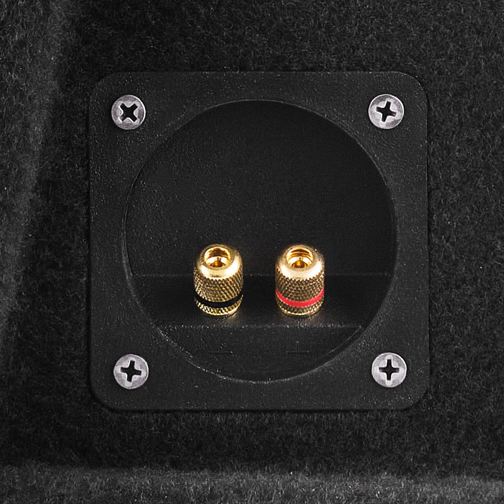 DS18 SB212 12" Loaded Shallow Subwoofer Enclosure 300 Watt - Car Audio