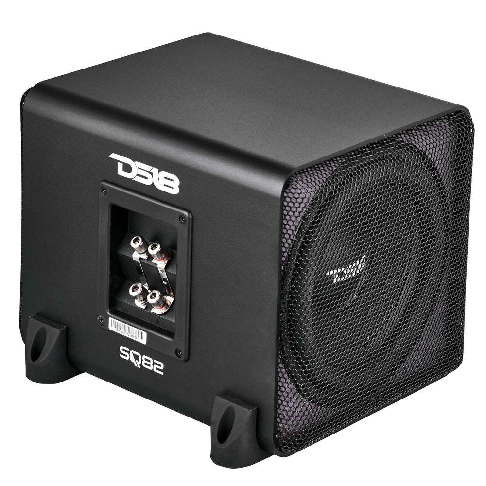 DS18 Dual 8" Subwoofer Enclosure 300 Watts Rms