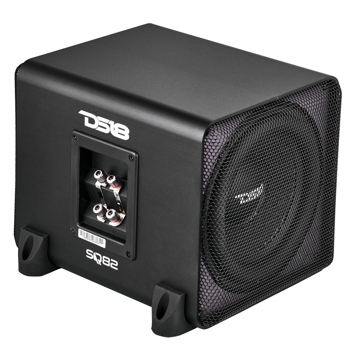 DS18 Dual 8" Subwoofer Enclosure 300 Watts Rms