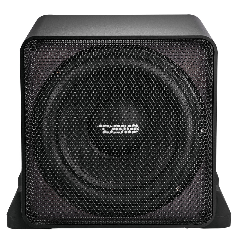 DS18 Dual 8" Subwoofer Enclosure 300 Watts Rms